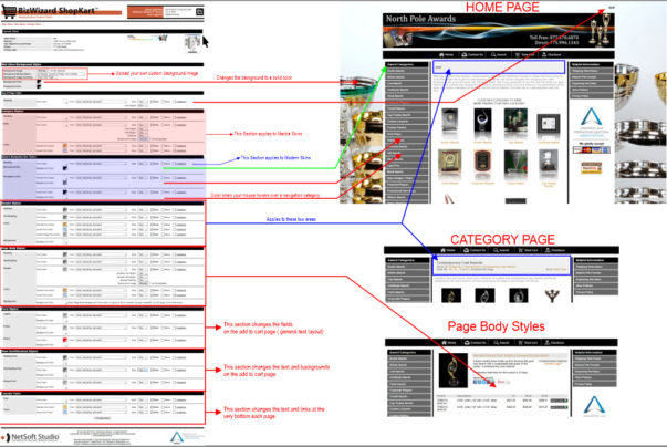 Website and Custom Style Sheets - BizWizIQ